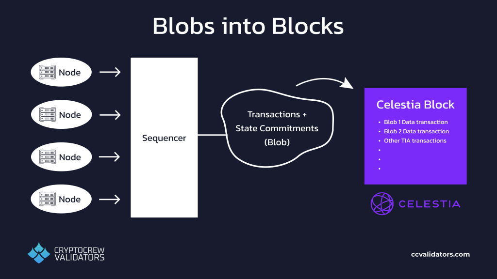 Blobs and Blocks: Celestia's Data Availability Layer